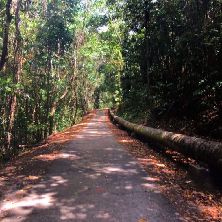 Beautiful Behana Gorge - Sarah Adventuring | Travel Blog