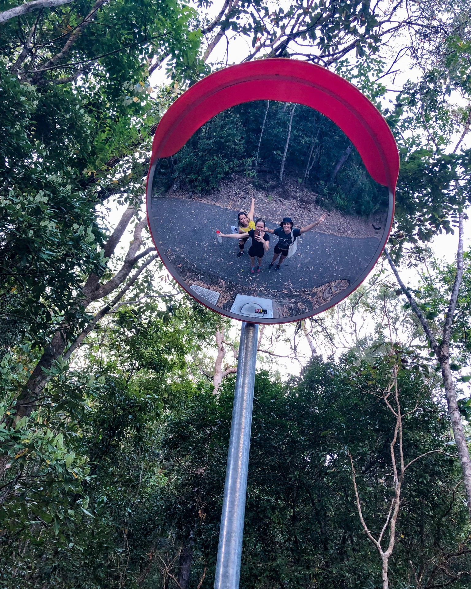 The 5 Best Hikes in Cairns - Sarah Adventuring | Travel Blog