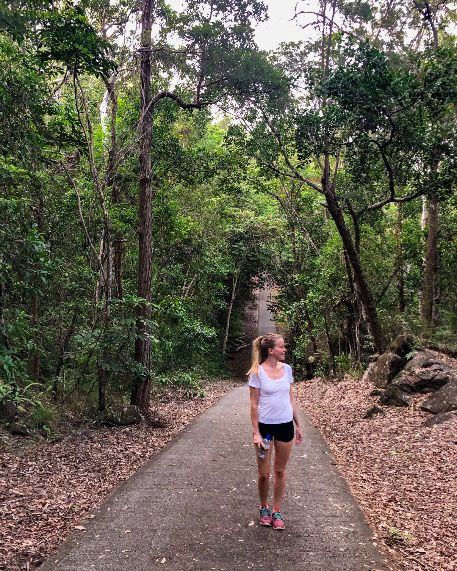 The 5 Best Hikes in Cairns - Sarah Adventuring | Travel Blog