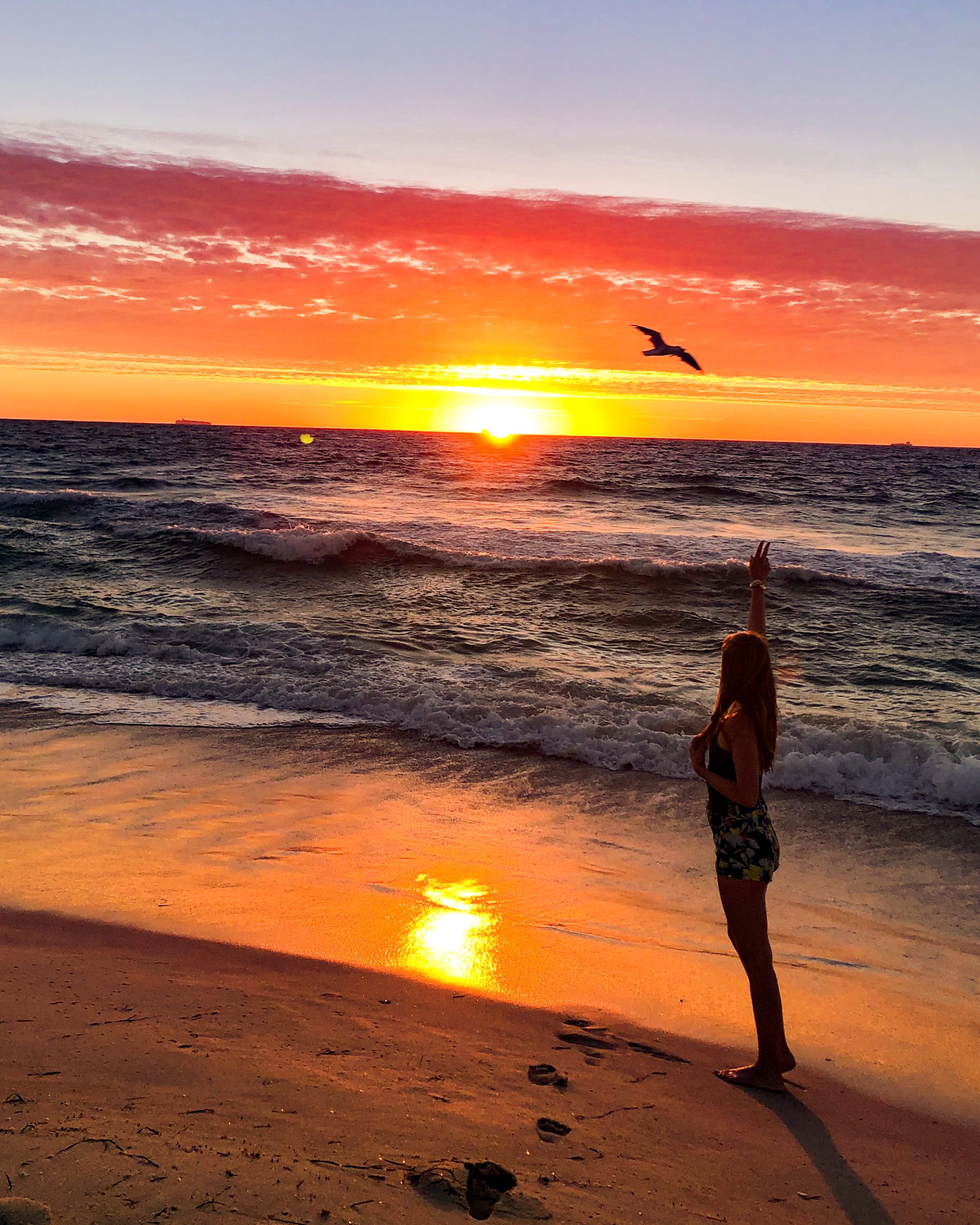 Explore the Brighton Beaches Around the World - Sarah Adventuring