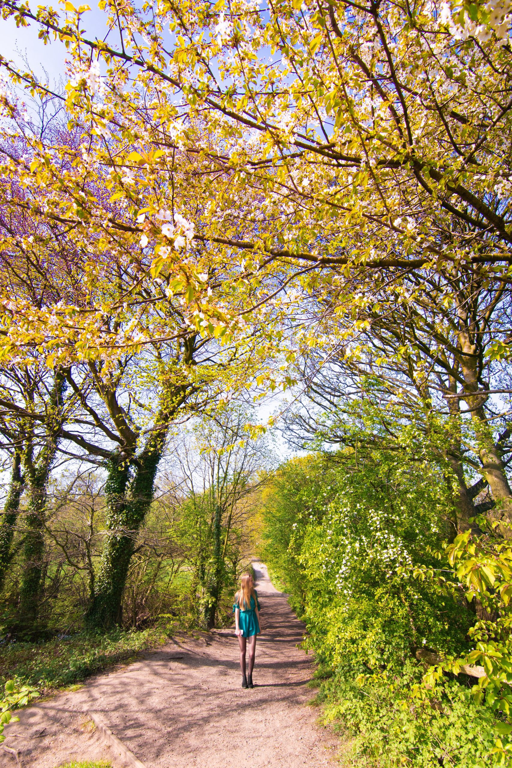 8 Photos That Make Me Love the British Countryside - Sarah Adventuring