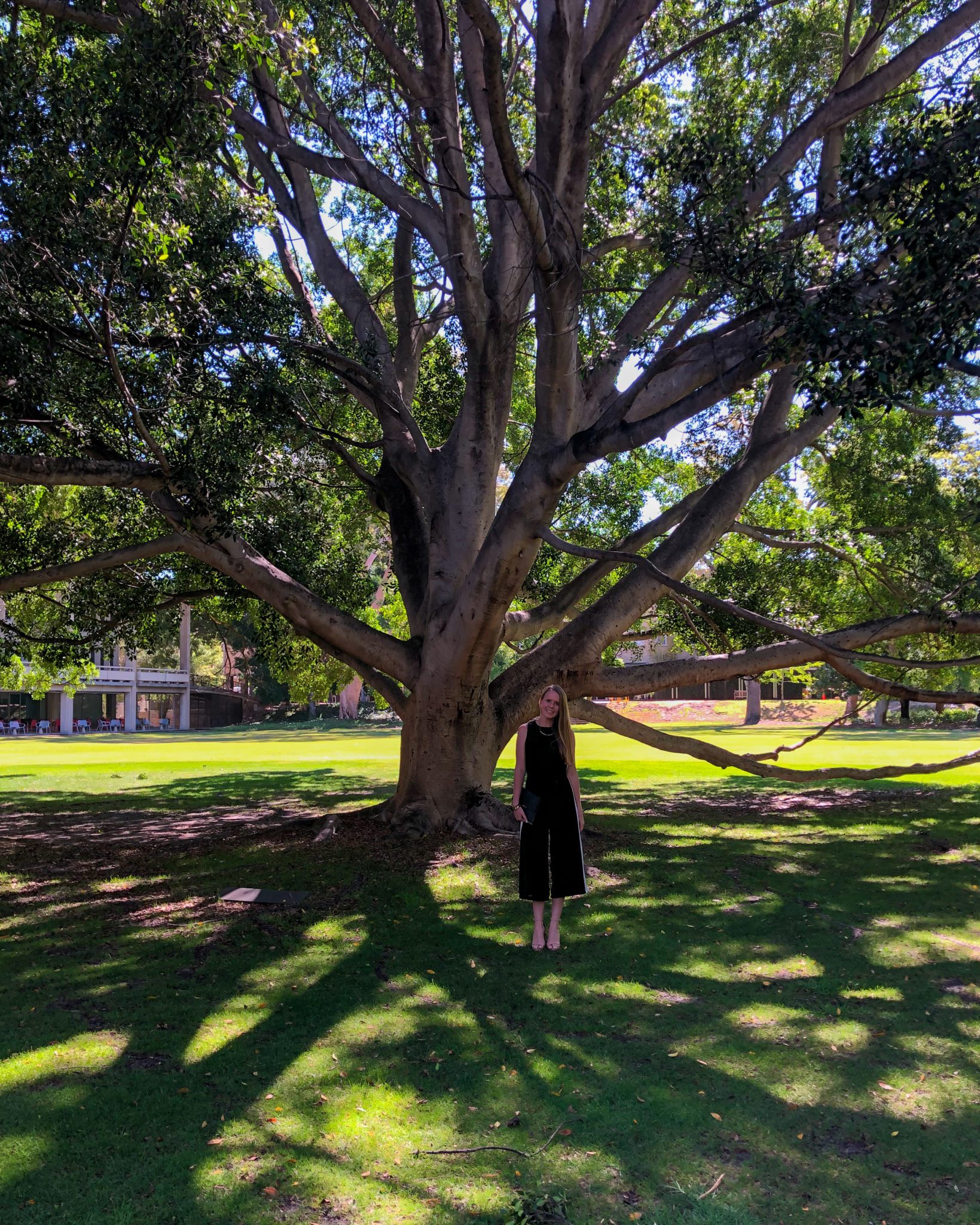 Top 10 Must Do Places in Perth - Sarah Adventuring | Travel Blog