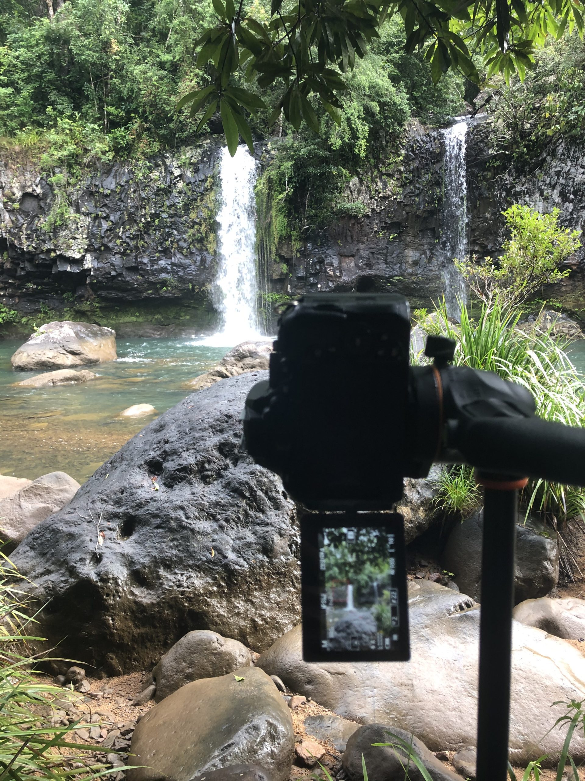 How to get to Ponytail Falls in Tully - Sarah Adventuring | Travel Blog