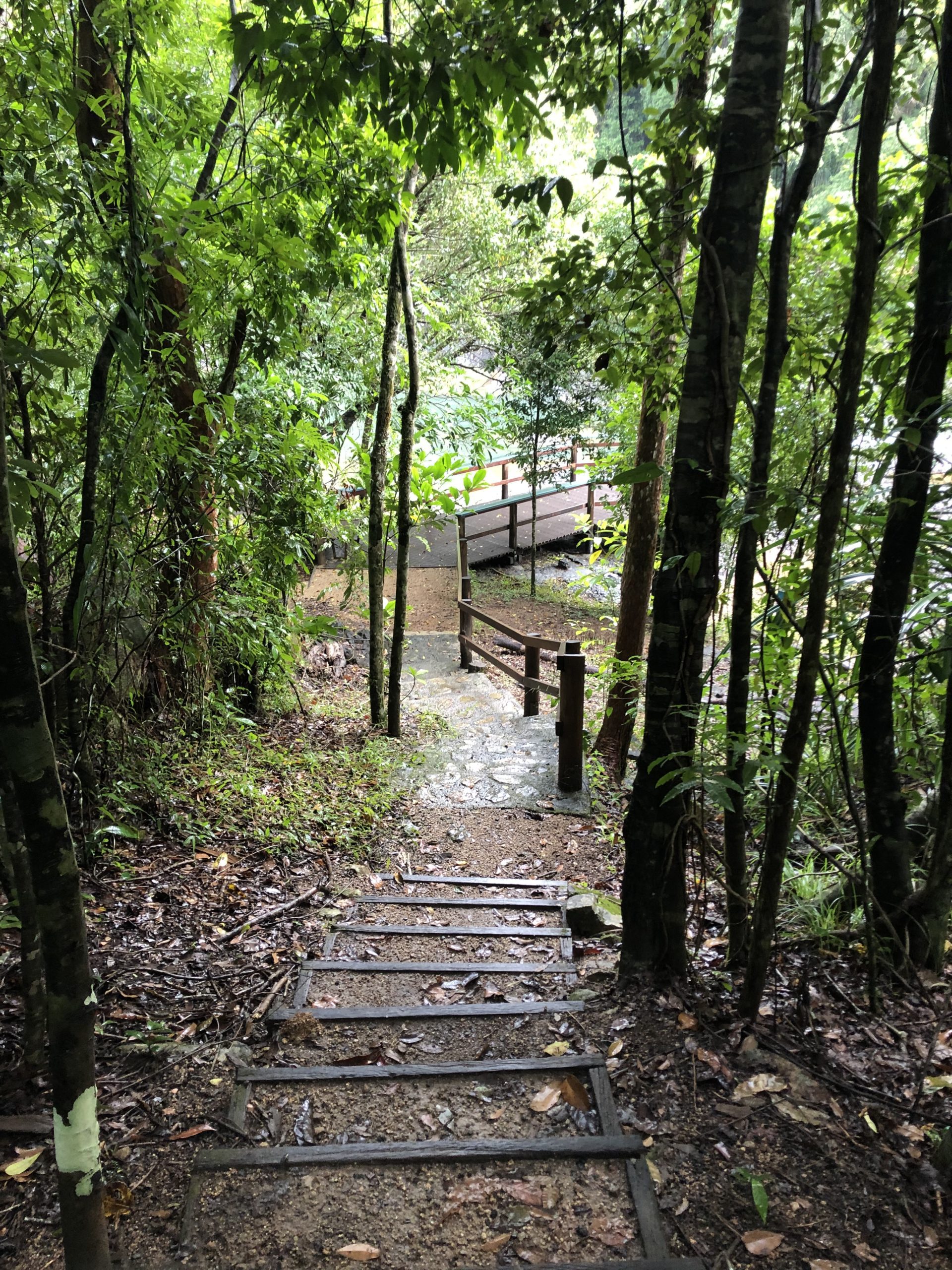 How to get to Ponytail Falls in Tully - Sarah Adventuring | Travel Blog
