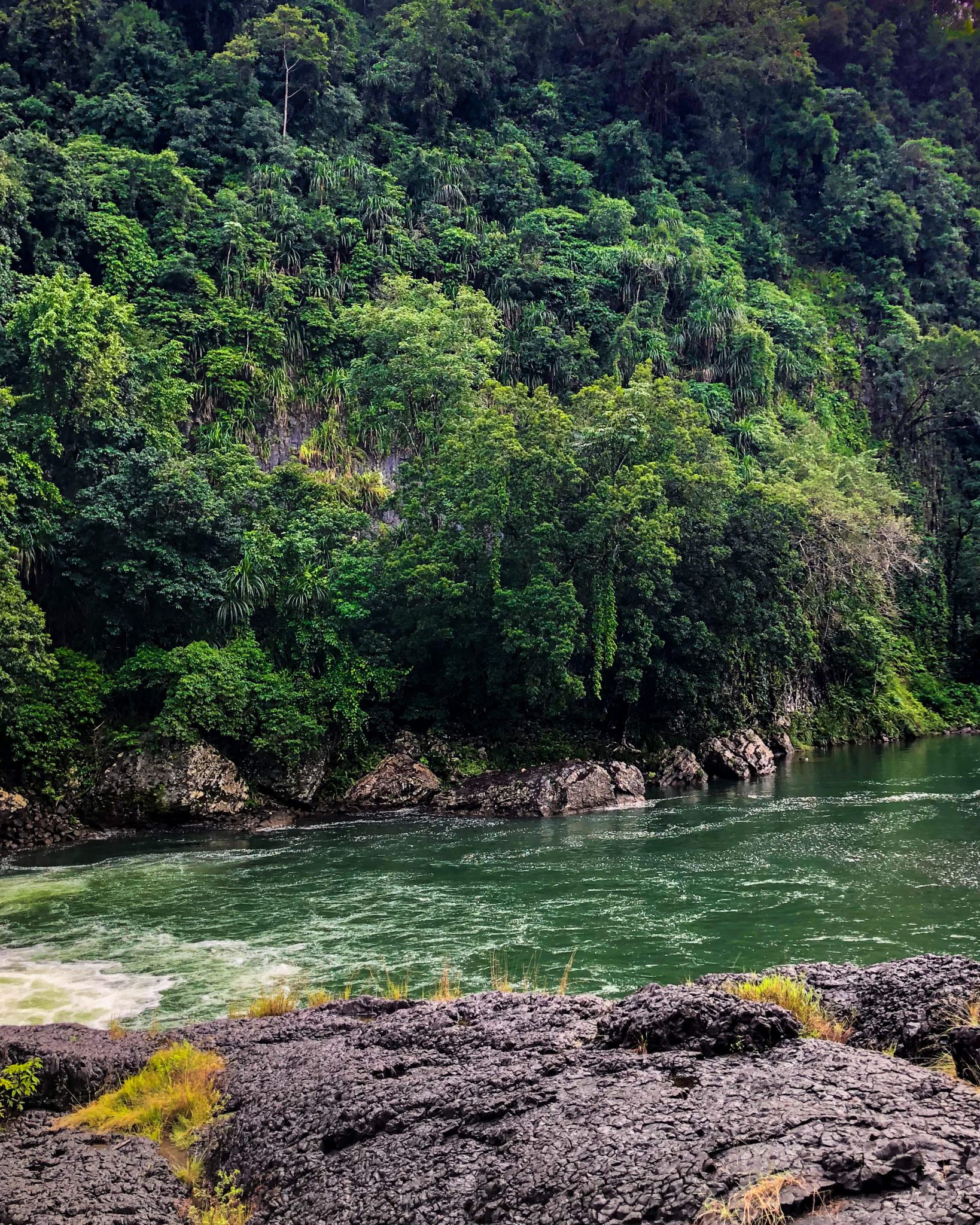 How to get to Ponytail Falls in Tully - Sarah Adventuring | Travel Blog