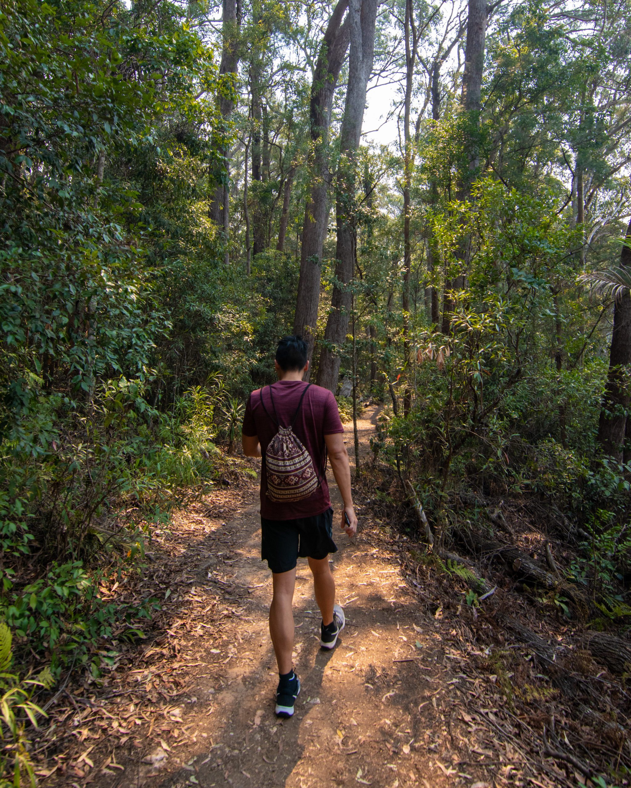 How to get to Purling Brook Falls on the Gold Coast - Sarah Adventuring