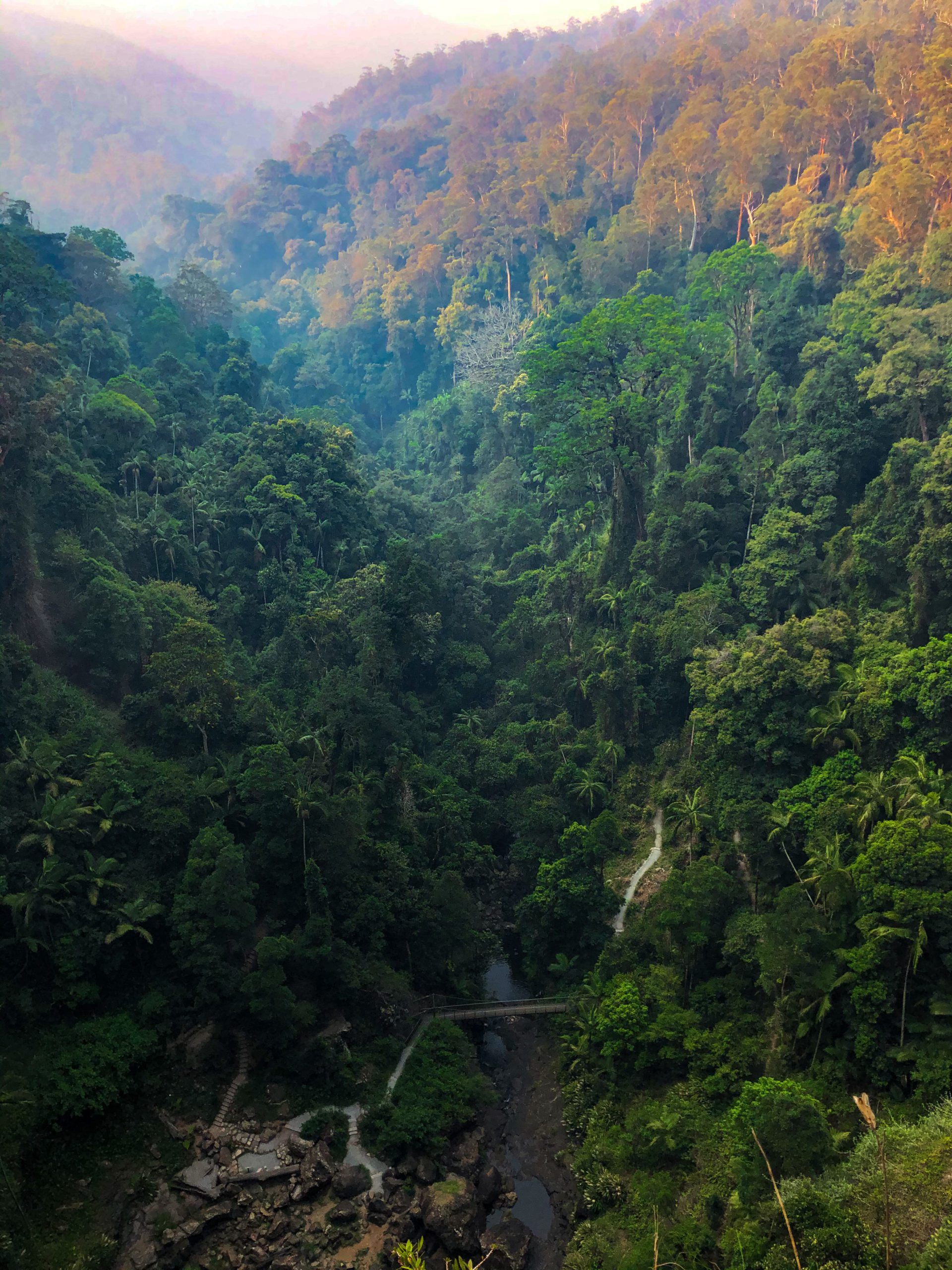How to get to Purling Brook Falls on the Gold Coast - Sarah Adventuring