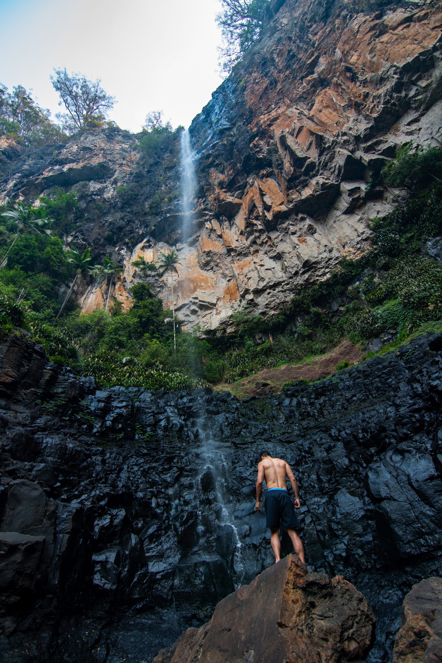 How to get to Purling Brook Falls on the Gold Coast - Sarah Adventuring