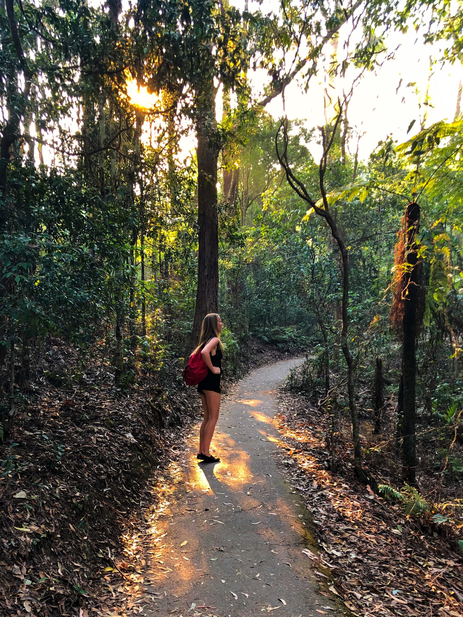 How to get to Purling Brook Falls on the Gold Coast - Sarah Adventuring