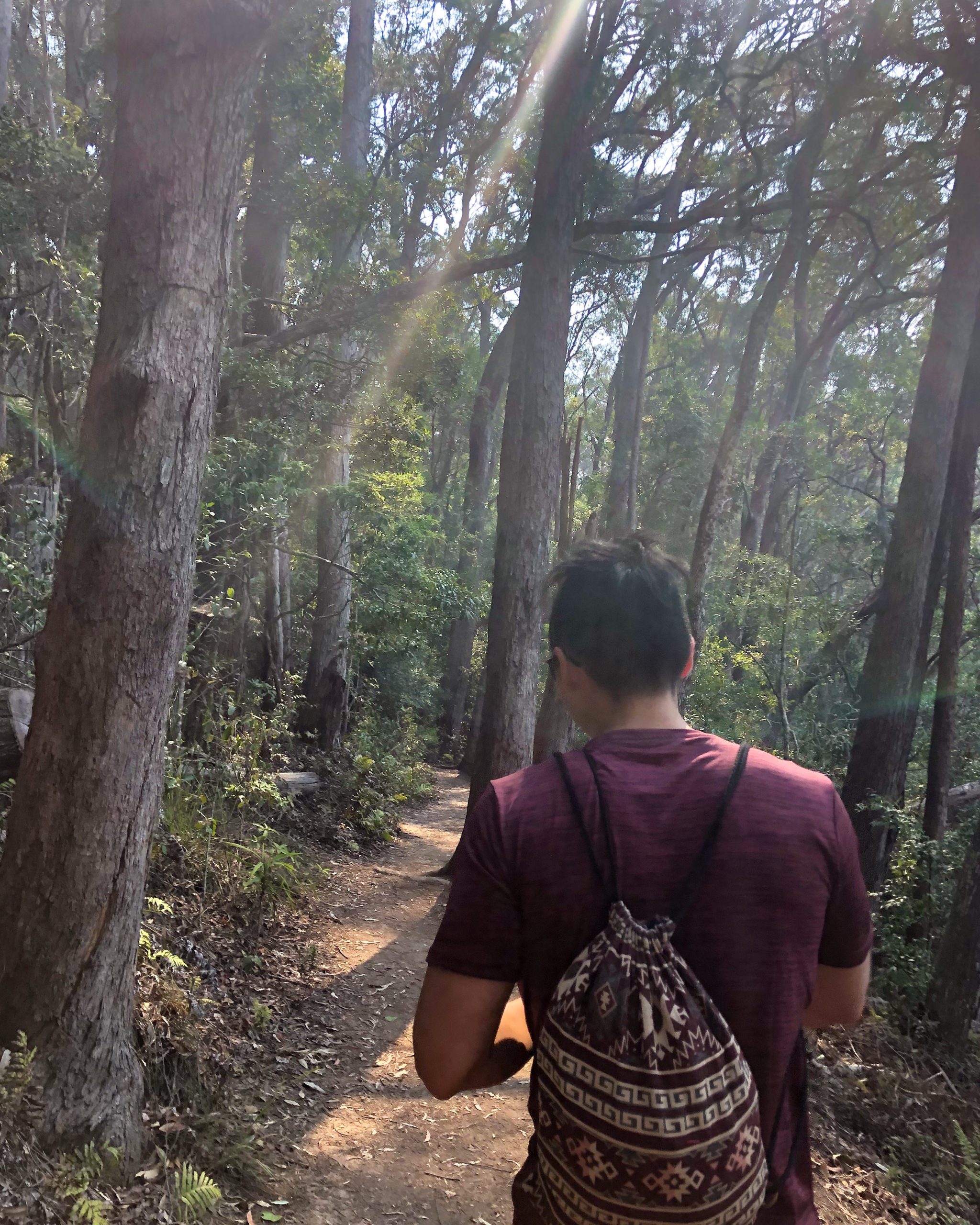 How to get to Purling Brook Falls on the Gold Coast - Sarah Adventuring